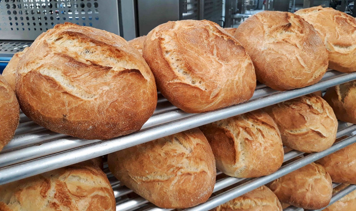 IMPRESSA bread | FRITSCH