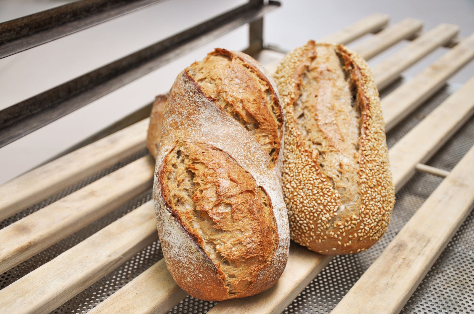 IMPRESSA bread | FRITSCH