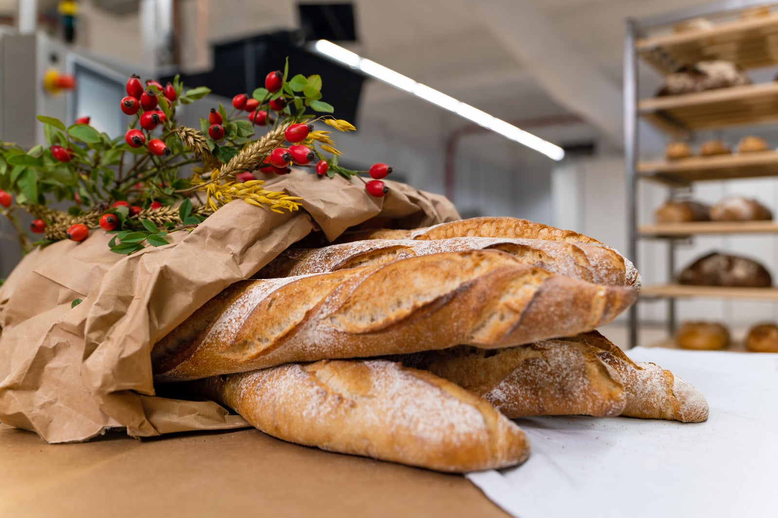 IMPRESSA bread | FRITSCH